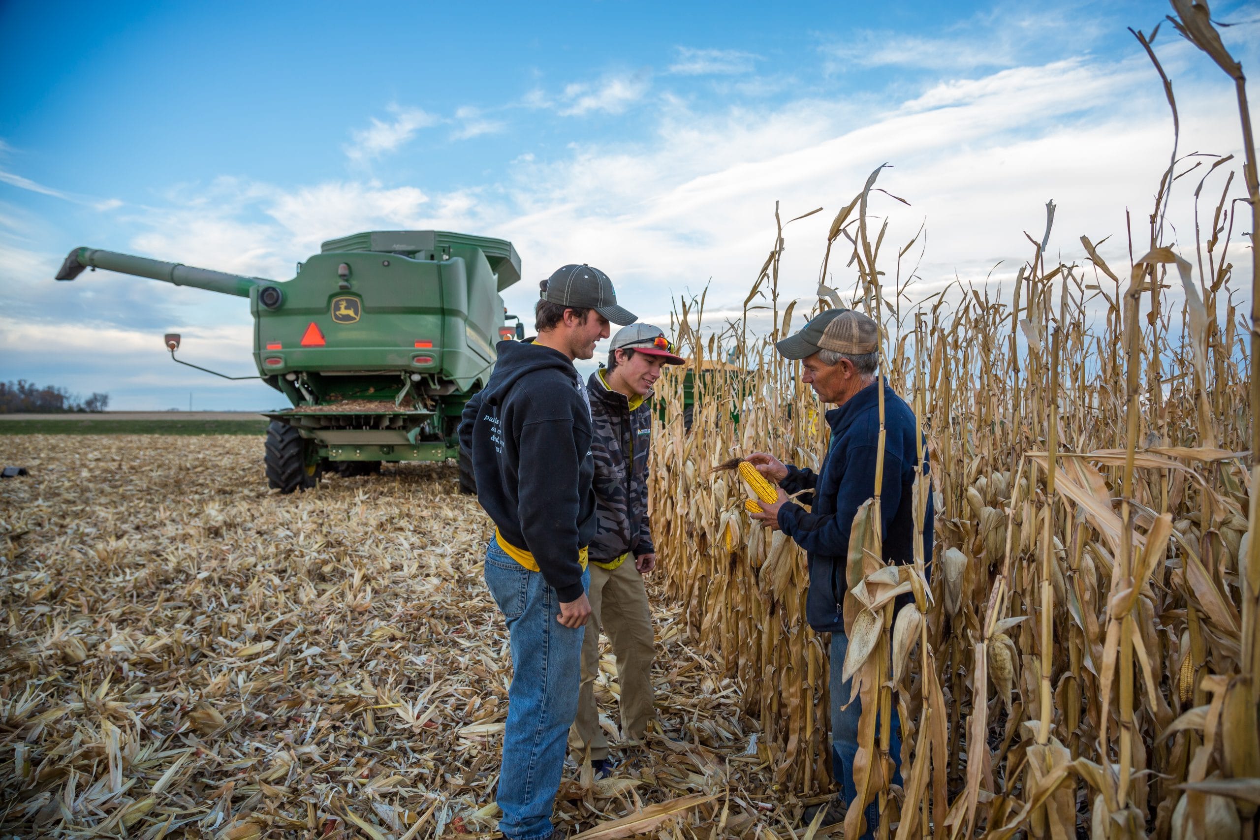 Corn Storage: Prolonging the Shelf Life of your Crop - Peterson