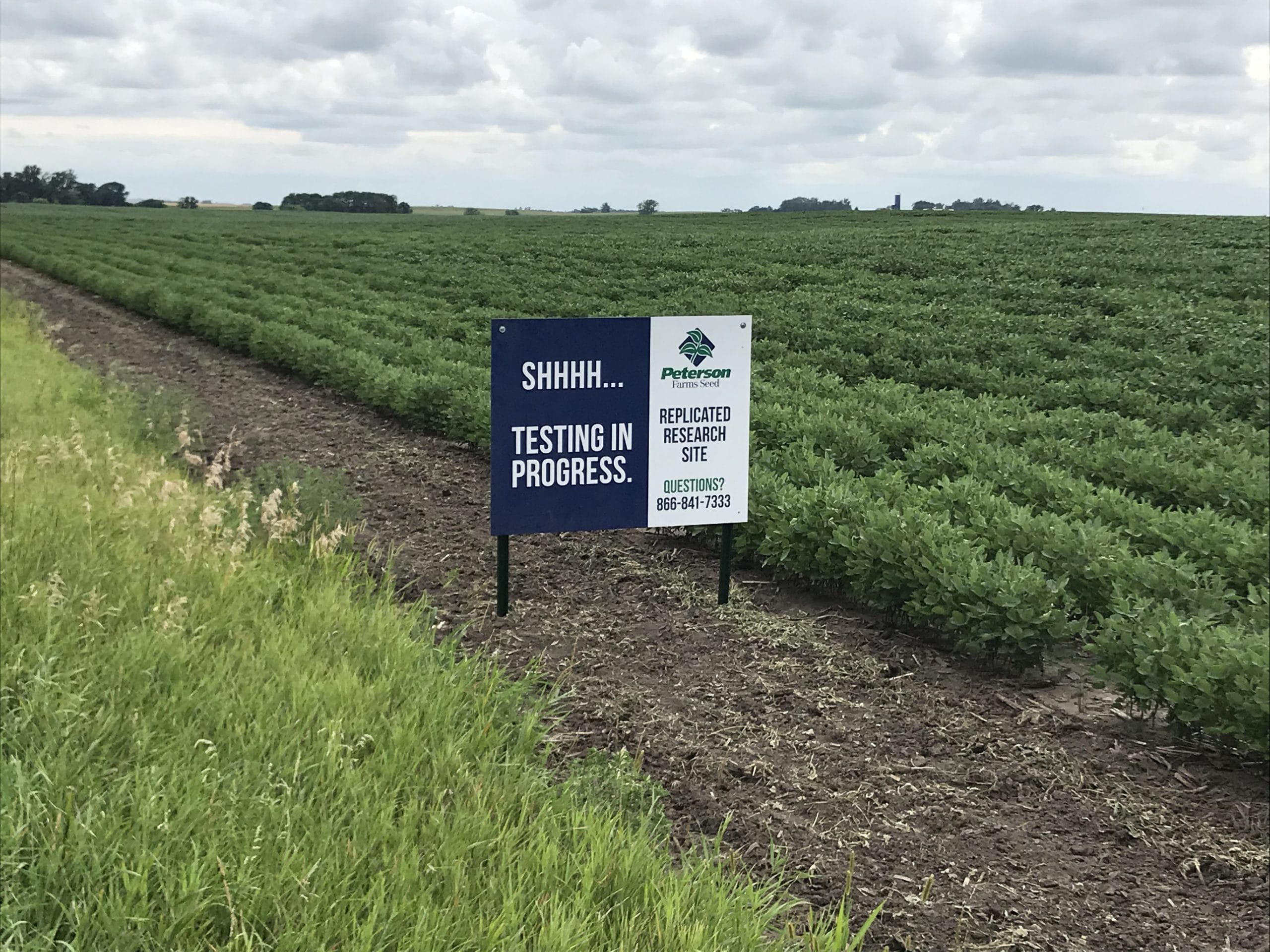 On Farm Trials Are Interesting. Replicated Testing Is Reliable.