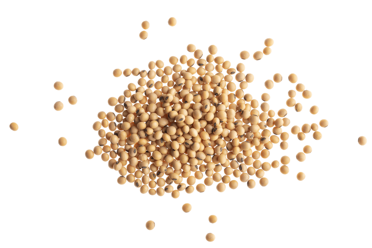 Corn Seed & Soybean Seed | Peterson Farms Seed